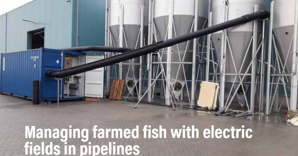 The Aquaculturists: Managing farmed fish with electric fields in pipelines