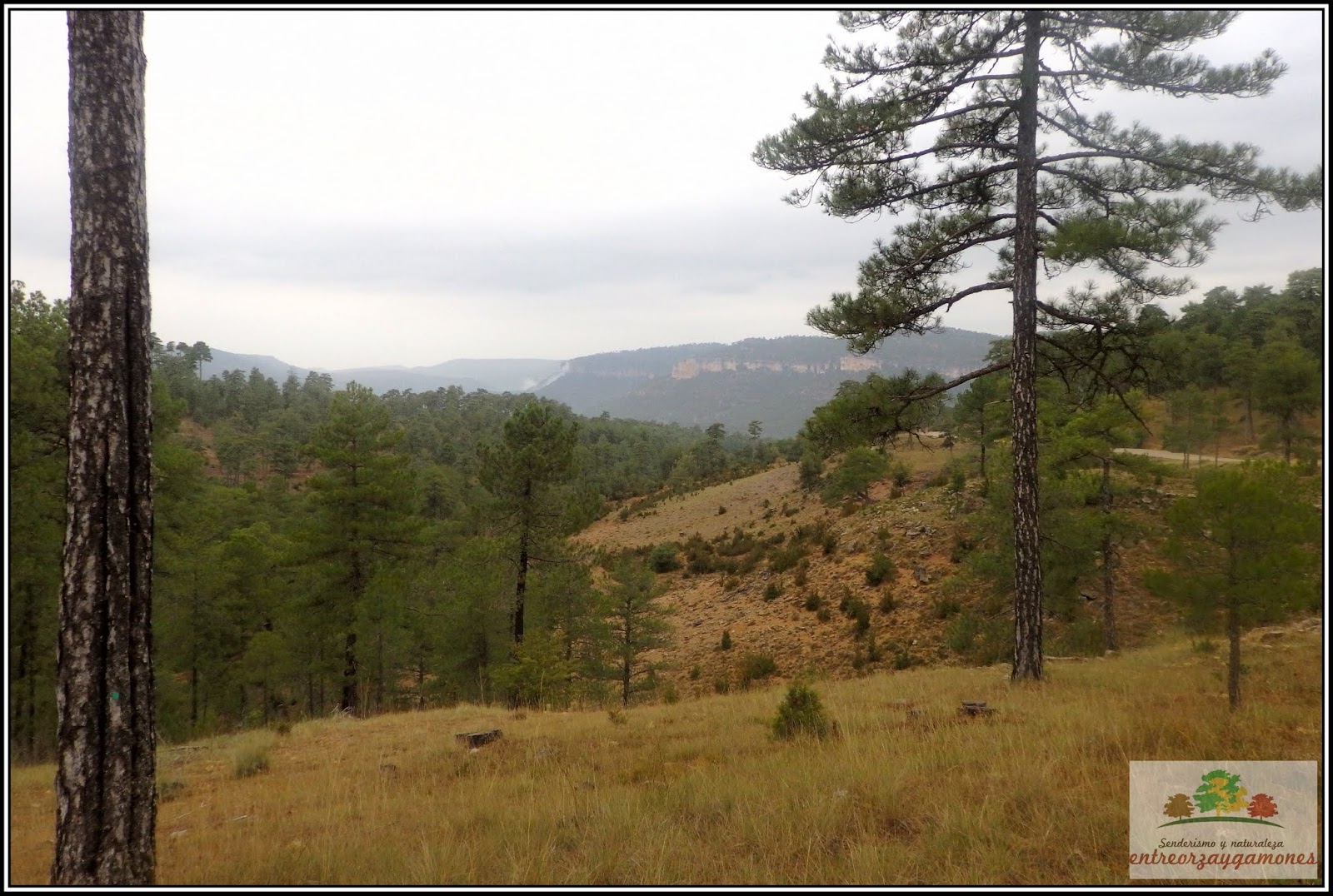 Senderismo Entreorzaygamones: A La Modorra, por el barranco de La Pumareja.