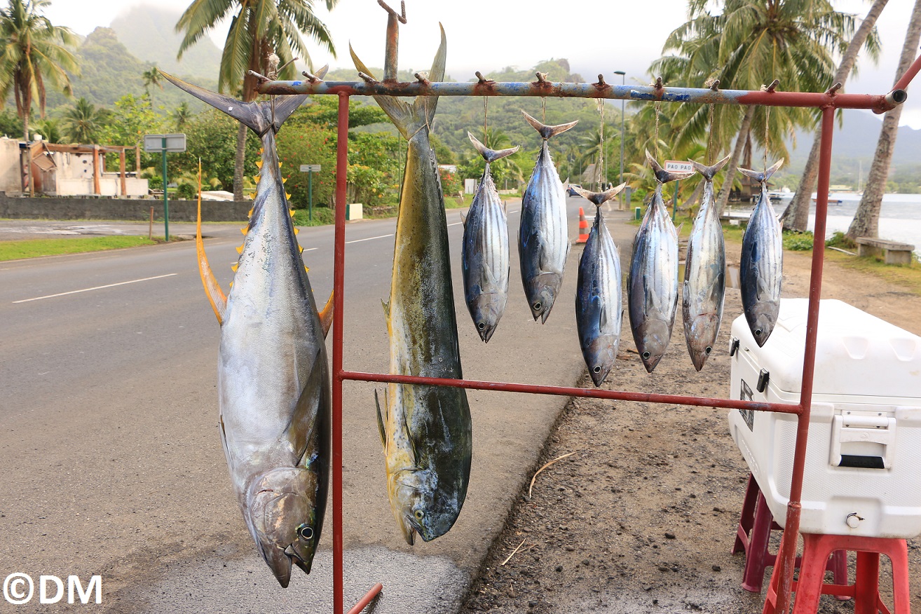 Vivre Auckland: Tahiti et les îles sous le vent - Un rêve de polynésie ...