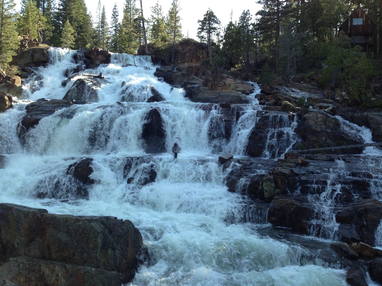 Hailey's Hideaway: W. O. W.