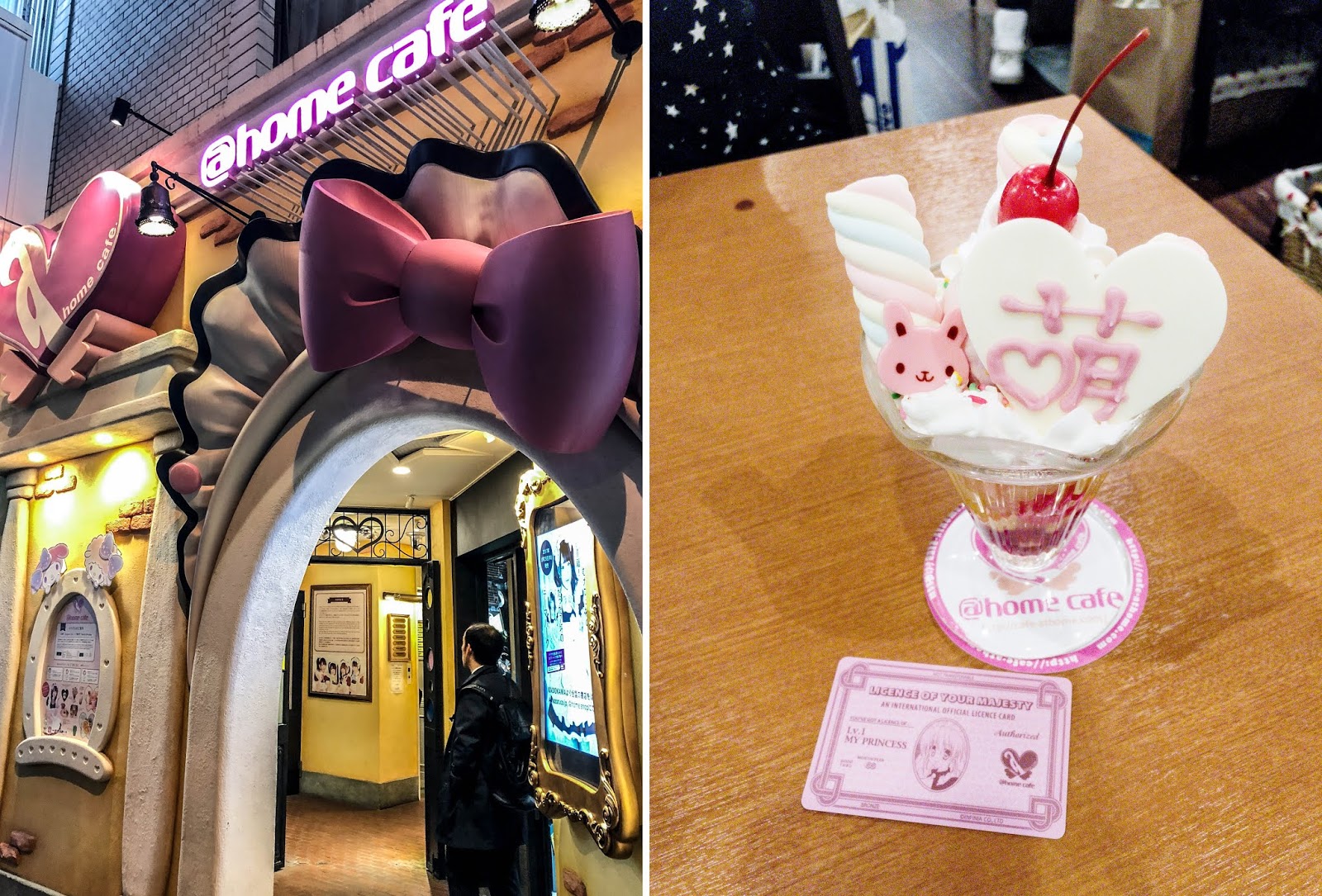 The Ultimate Tokyo Bucket List During Cherry Blossom Season - Tales of Two