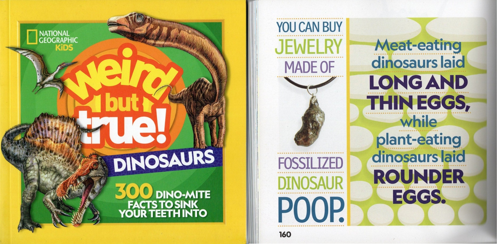 Shpangle Jewellery: My Fossil Dino Poop Jewellery has been featured in ...