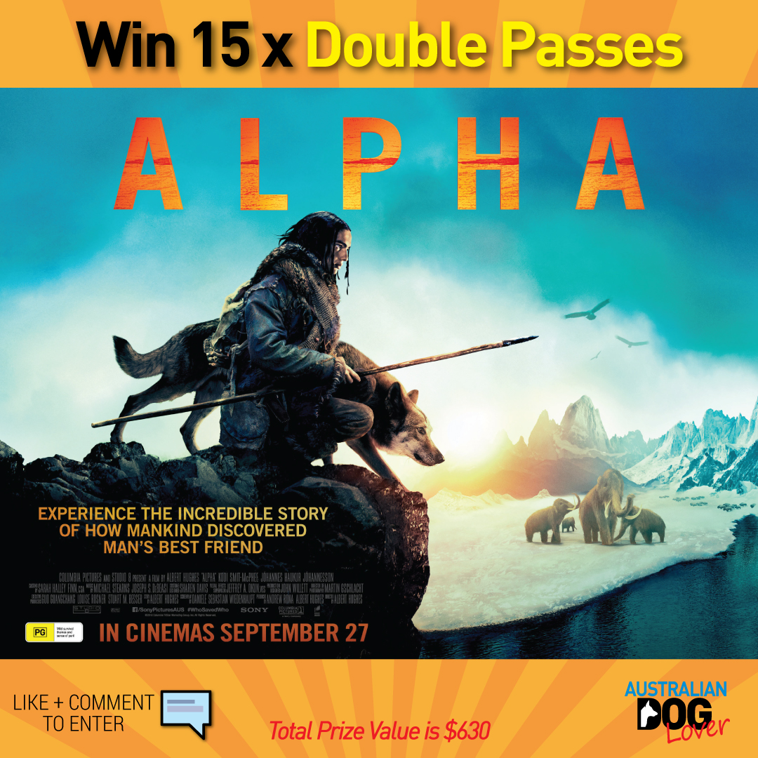 Win 15 Alpha Movie Double Passes - Competition | Australian Dog Lover