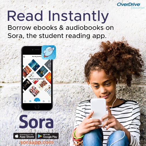 NNEC Library: Sora - Now Available on your GNSPES launch page.