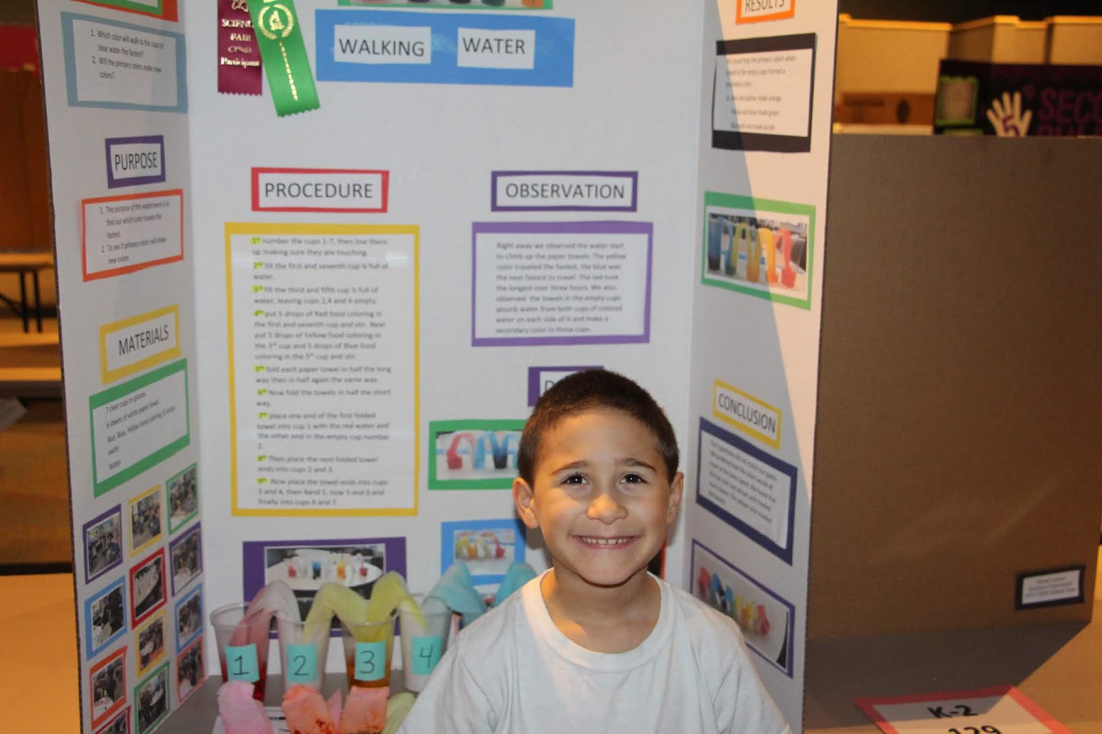 Your Permanent Record: The District Elementary Science Fair