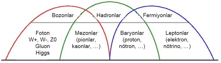 Prof. Dr. Bilsen Beşergil: Hadronlar (hadrons)