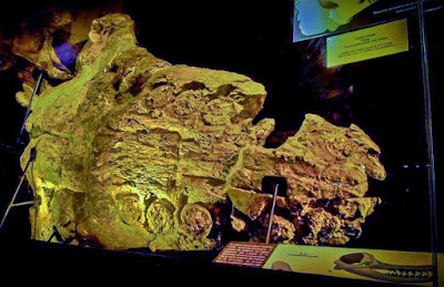 Paleontologi ID: Inilah Wujud Asli Leviathan, Legenda yang menjadi Hidup