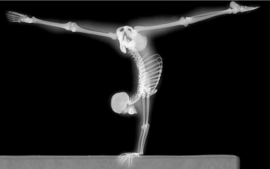 J'S THEATER: The X-Ray of the Poem