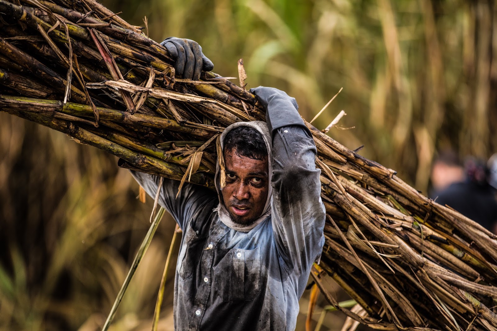 Michael Samuel Boren