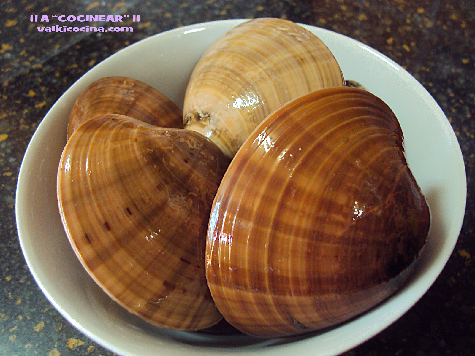 CONCHAS FINAS ( ... Y VIDEO DE PREPARACIÓN ) | ¡¡A COCINEAR!! Recetas ...