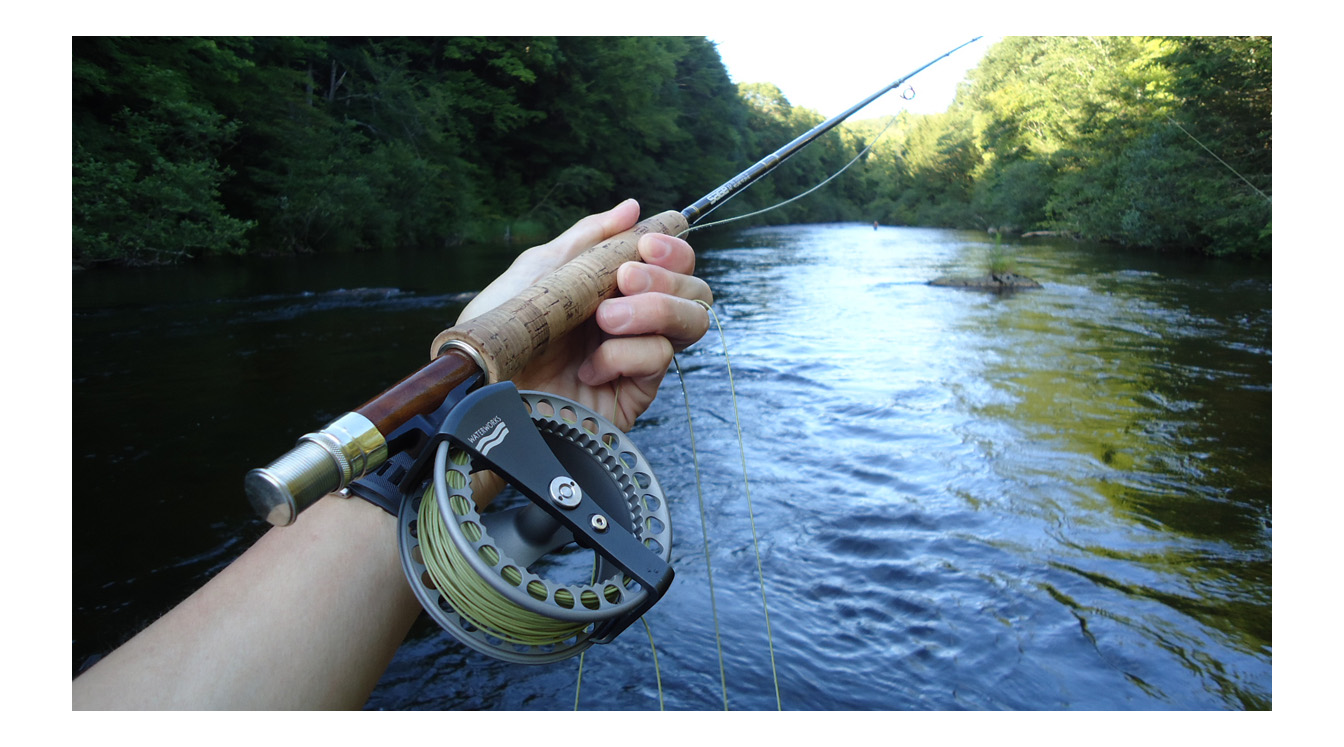 FLYINTROPICAL: dry fly fishing