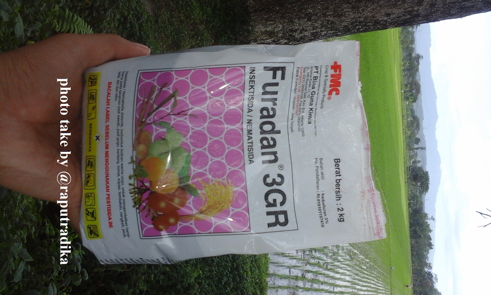 Insektisida: Pengertian, Jenis, Cara Kerja dan Contohnya - Glosaria.com