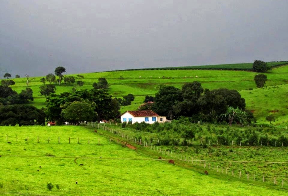 Imagens Rurais: Paisagens Rurais 6