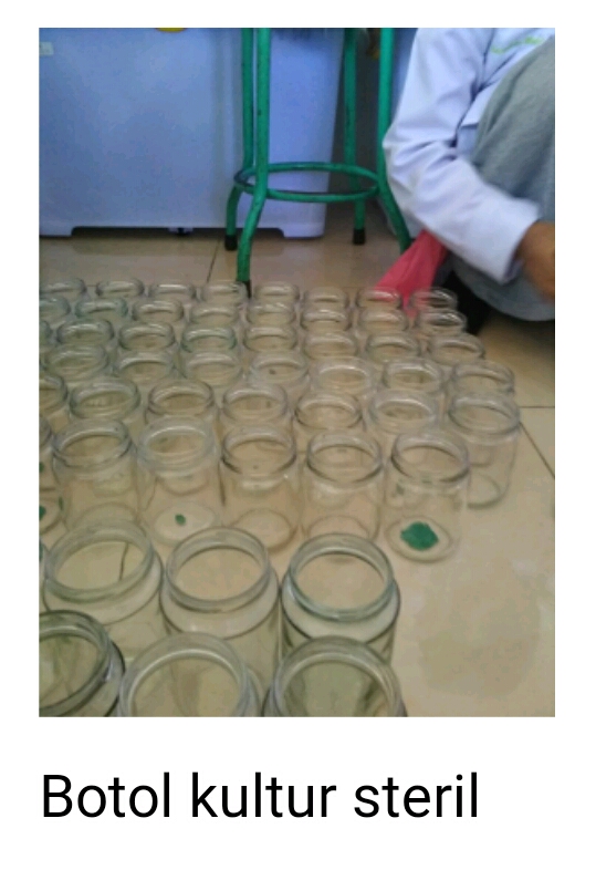 STERILISASI ALAT DAN MEDIA KULTUR JARINGAN TANAMAN
