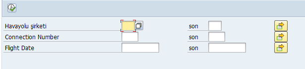 ABAP: ALV oluşturma - REUSE_ALV_GRID_DISPLAY fonksiyonu ile