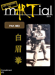 complément de mARTial sur le Pak Mei - L'oeil d'haze