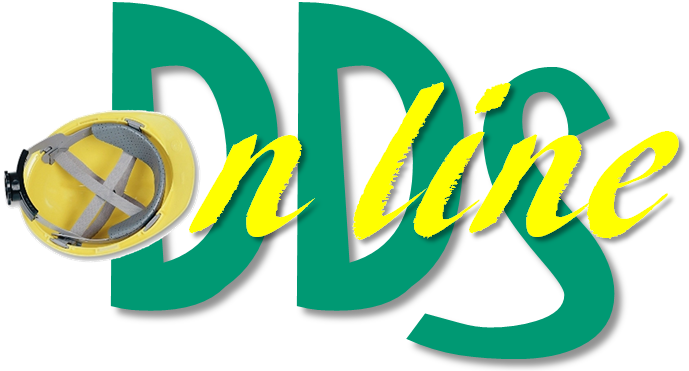 + Que Seguro: DDS Online