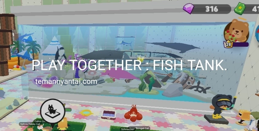 Play Together : Fish Tank Guide