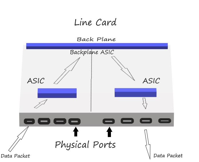 Merchant Silicon Vs. Custom Silicon