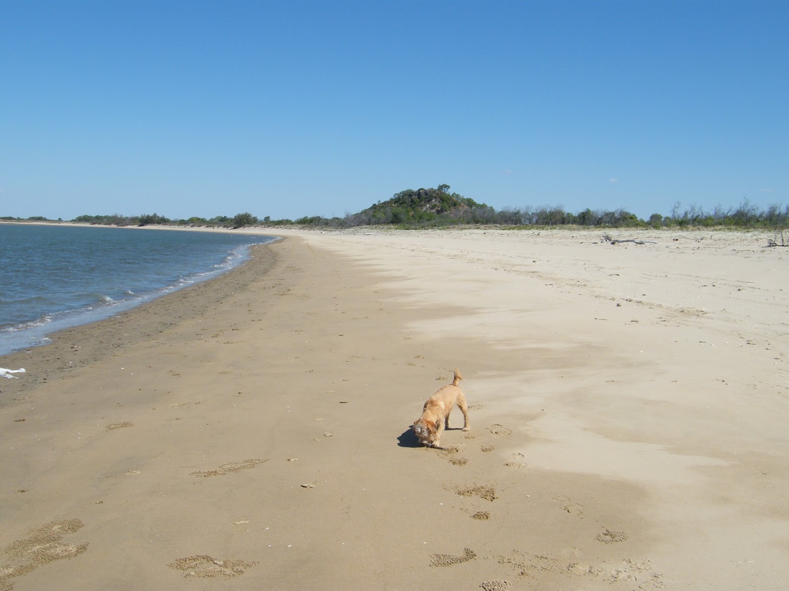 BJ and Noelle Travel Oz : Airlie Beach - Funny Dunny (Wunjunga ...