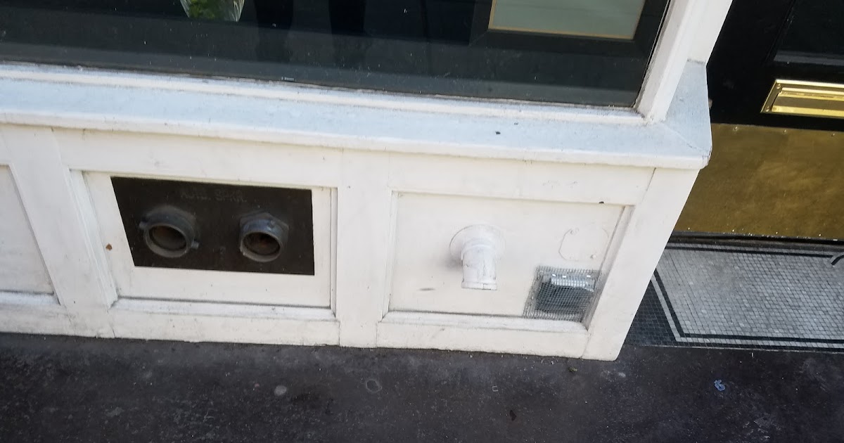 seattle exterminators: How much does it cost to get rid of rats? How ...