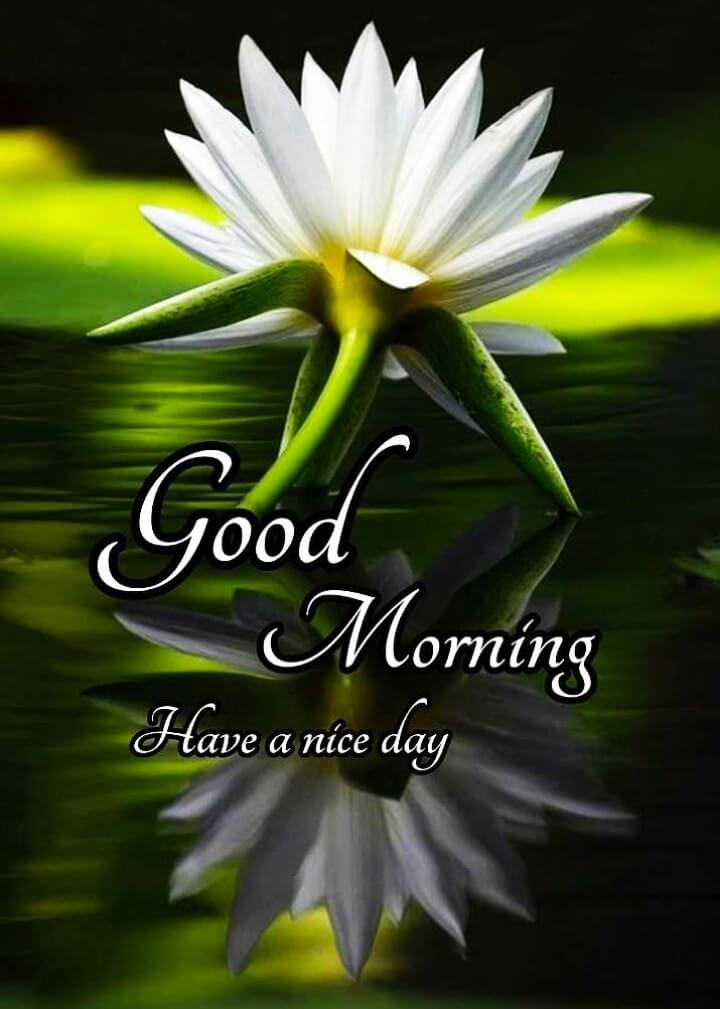 best good morning images