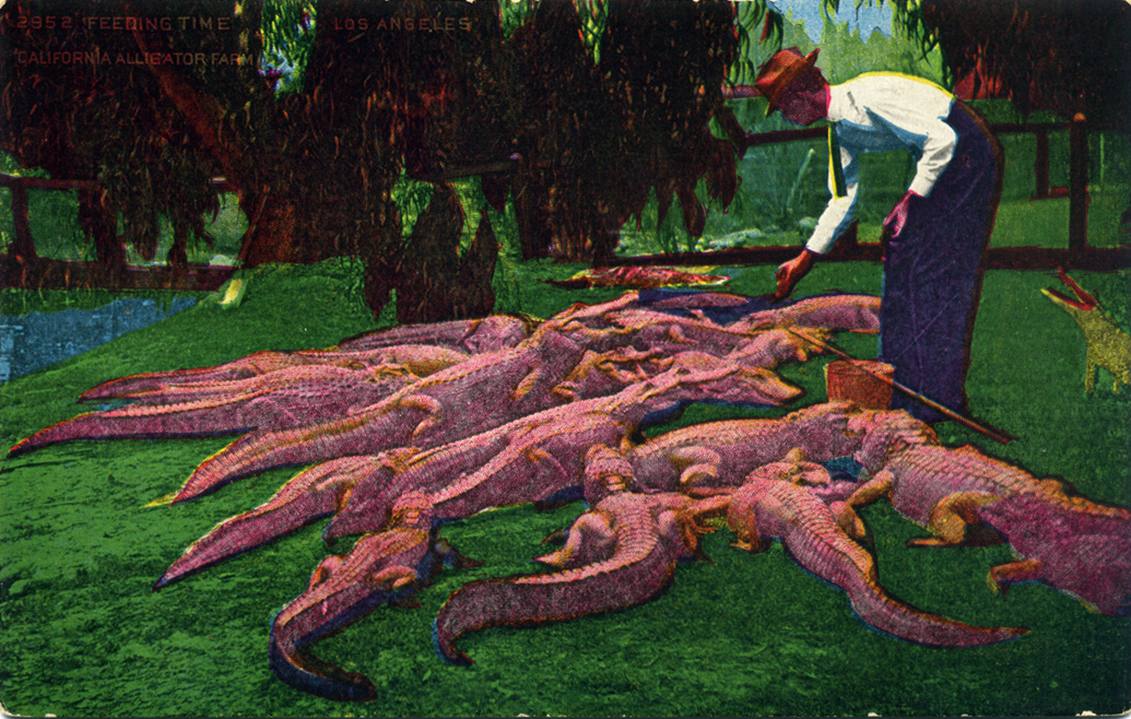 DECAYING HOLLYWOOD MANSIONS: The California Alligator Farm - Los Angeles