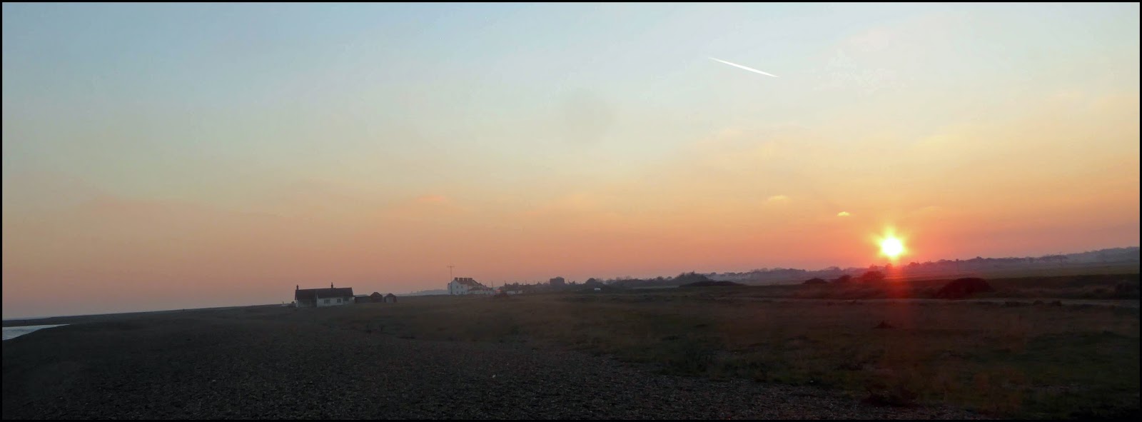 Wild and Wonderful: Shingle Street - What No Owls?