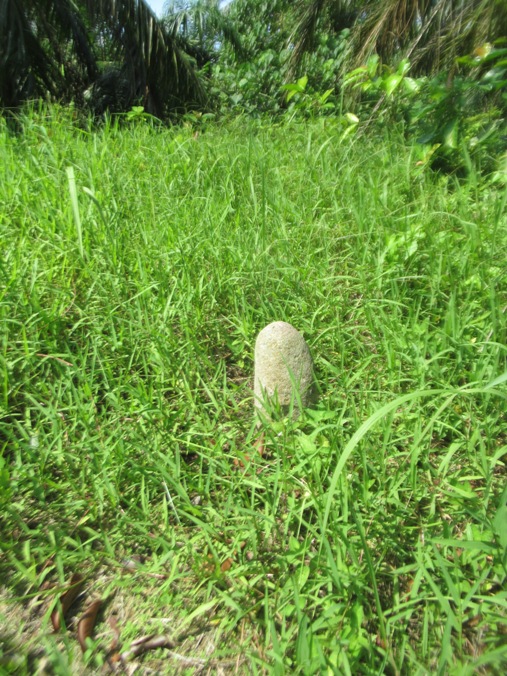 SENI LAMA MELAYU (MALAY OLDEN ART): Makam (Tomb of) Raja Mahadi?