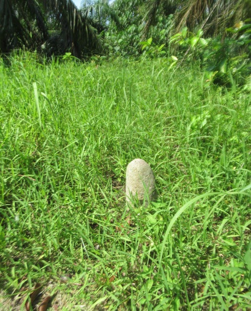 SENI LAMA MELAYU (MALAY OLDEN ART): Makam (Tomb of) Raja Mahadi?