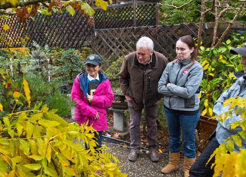 Walter Pall Bonsai Adventures: A visit to Lucy Judd's garden in ...