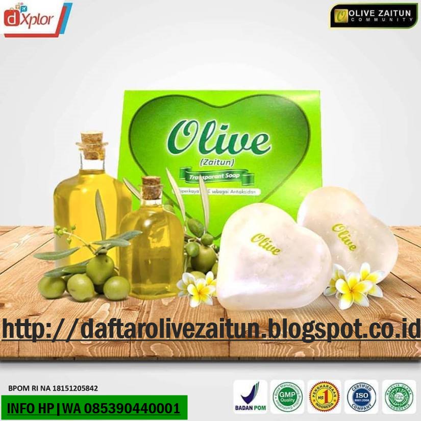 MANFAAT DAN KANDUNGAN SABUN OLIVE ZAITUN - BISNIS SABUN OLIVE ZAITUN ...