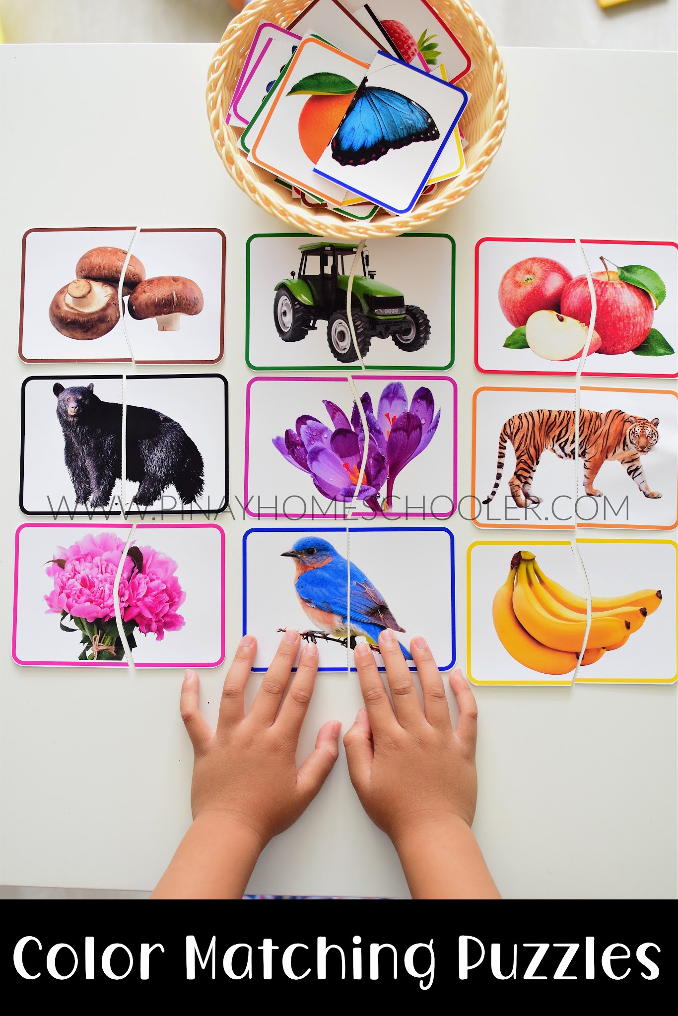 Montessori Inspired Color Printable Materials | The Pinay Homeschooler