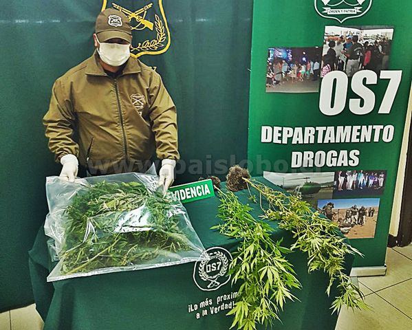 Un detenido y droga decomisada dejó operativo del OS7 de Carabineros - PL Prensa