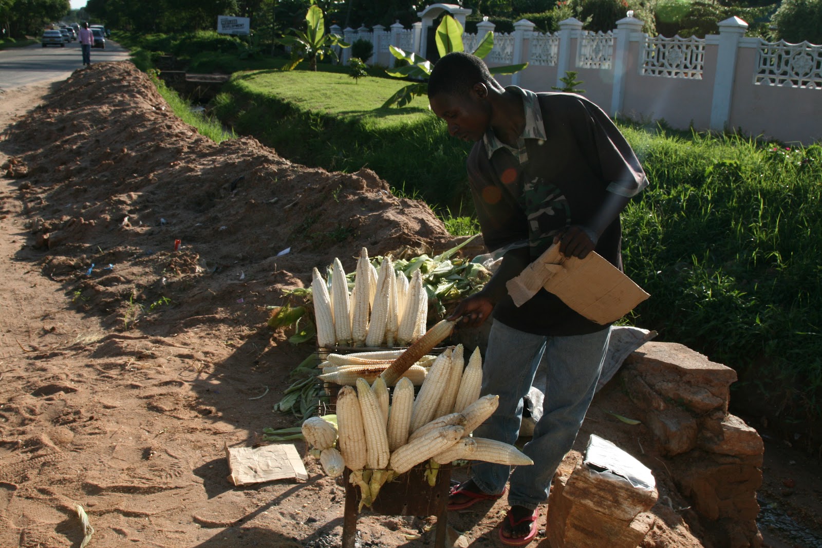 Roadside Roasted Corn ~ Samford Safari