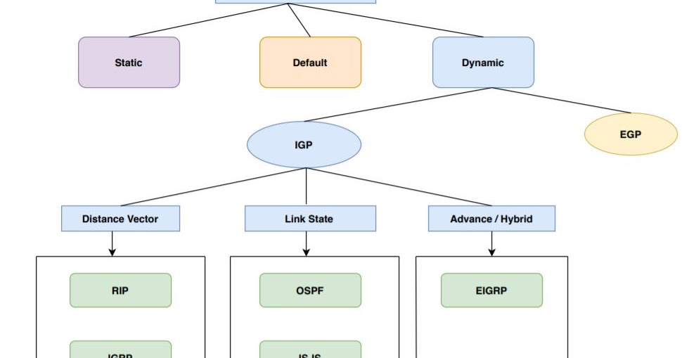 How Routing Protocol Works? - Explained Routing Protocols