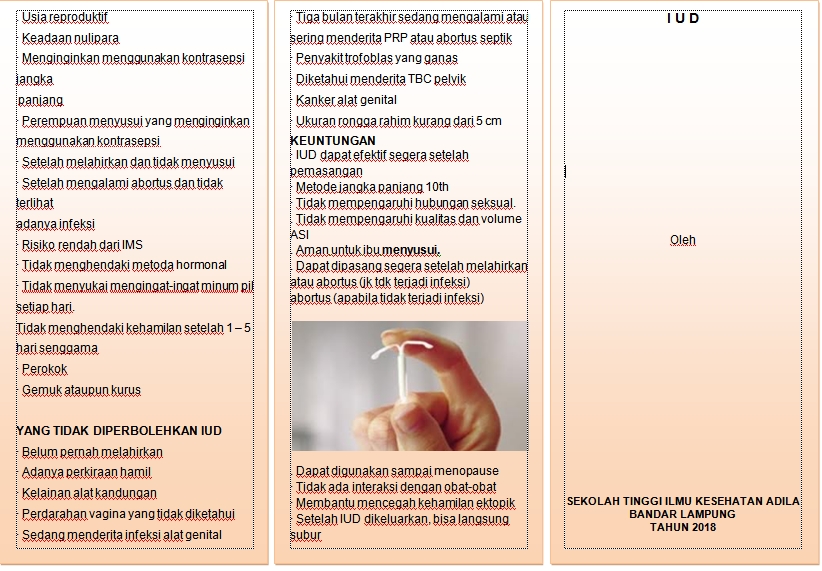 LATANSA SIX: LEAFLET IUD