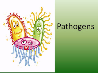 INFECTIOUS DISEASES - TERMINOLOGY - MODES OF TRANSMISSION