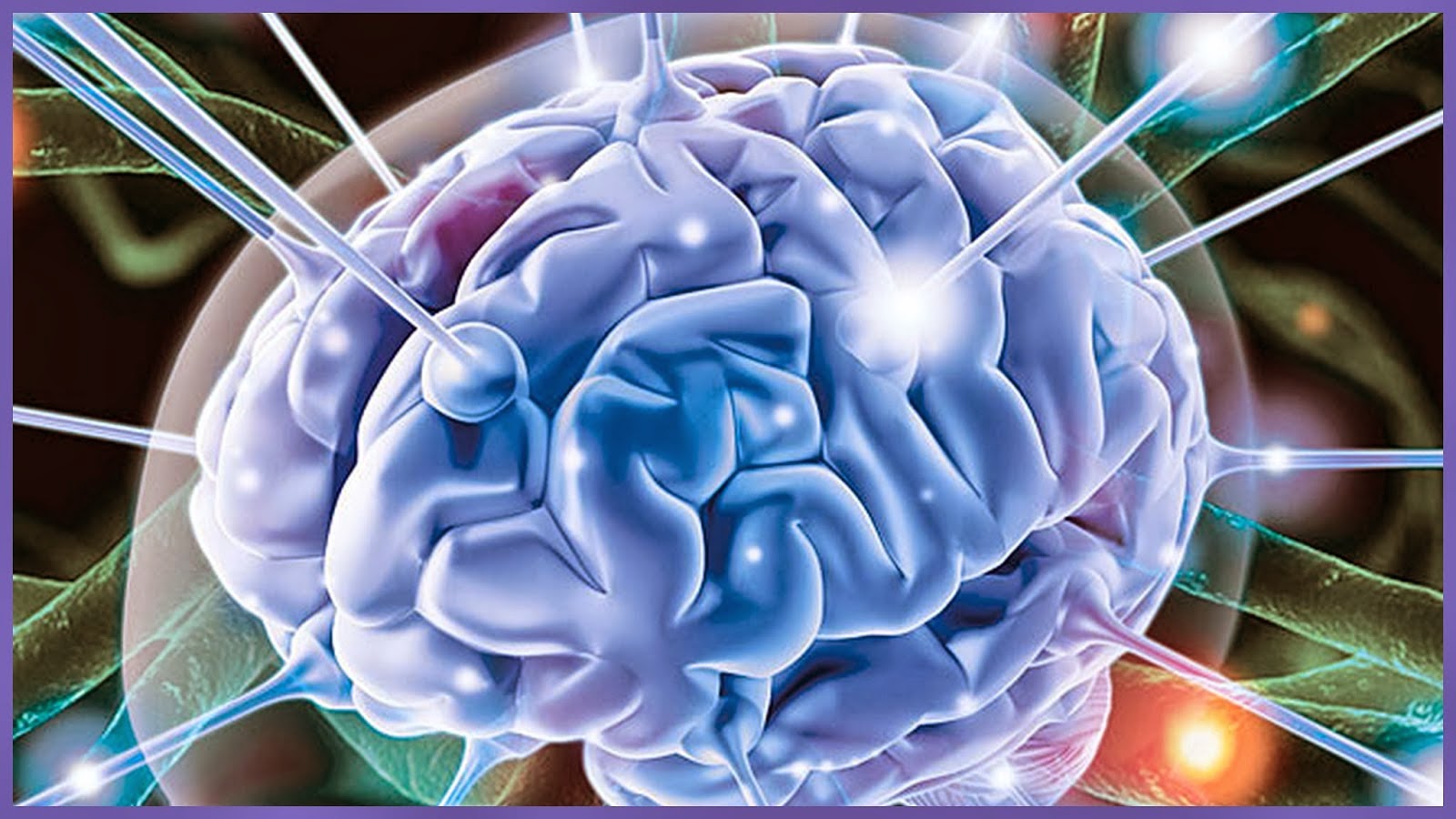 African Metaphysical Philosophy: What is Reason? Forms Of Reason