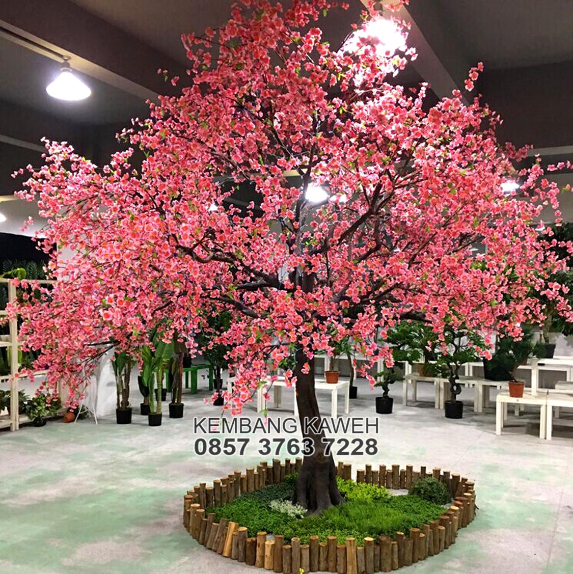 adhityayodha: Terima Pesanan Pohon angpao sakura meihwa imlek sincia