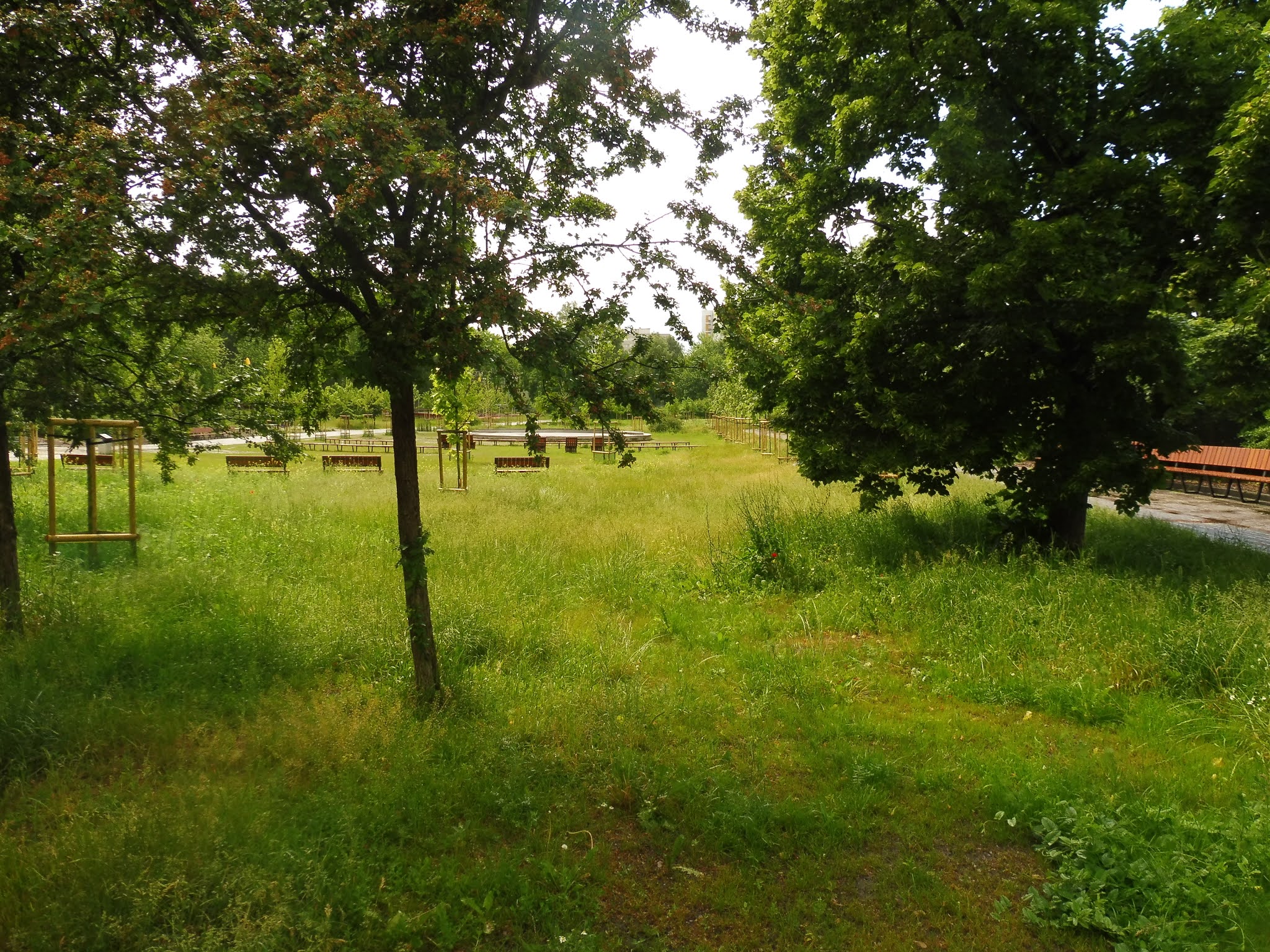 WSP: Park im. Zbigniewa Herberta/Warszawa