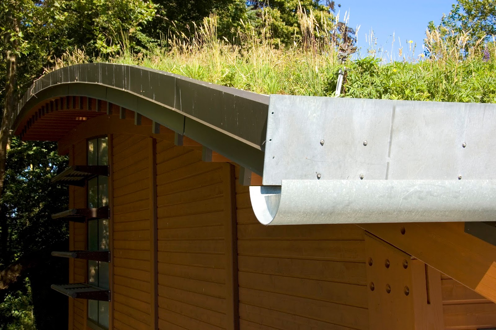 What's Your Green Zoo IQ?