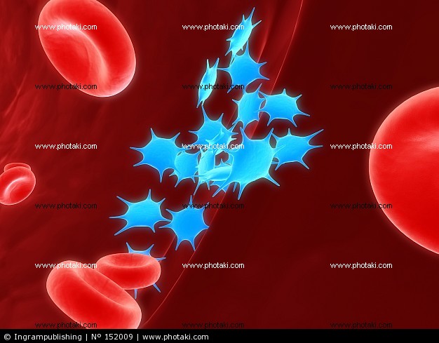 Jovem Pesquisador: Plaquetas no Sangue