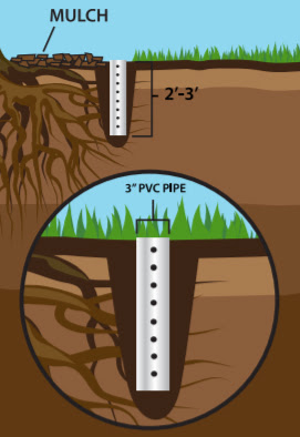 INBUILT LANDSCAPE: Do it yourself DIY Tree deep watering system