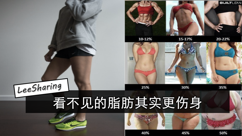 “看不见”的肥胖更危险！Step By Step 帮你测出来 - Leesharing