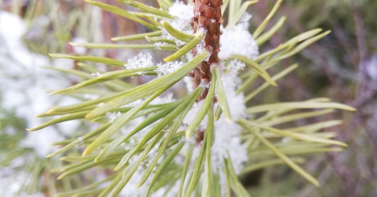 Haasteista huomiseen: Maailma puhdistuu ja pysähtyy, hyppää kiireen ...