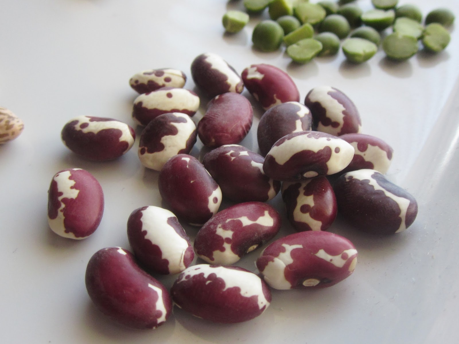 Chef Tess Bakeresse: How You Bean?! Dove Creek, Colorado Rocks!