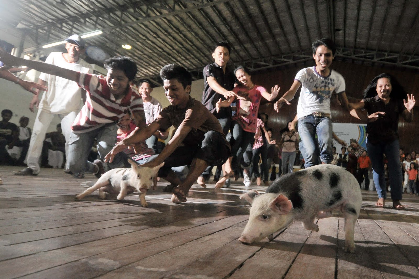 Tubad Mindanao: Pig catching contest