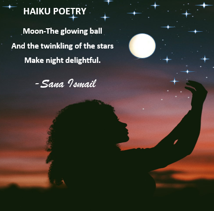 Essay | Paragraph | Poetry Blog: Haiku Poetry on night