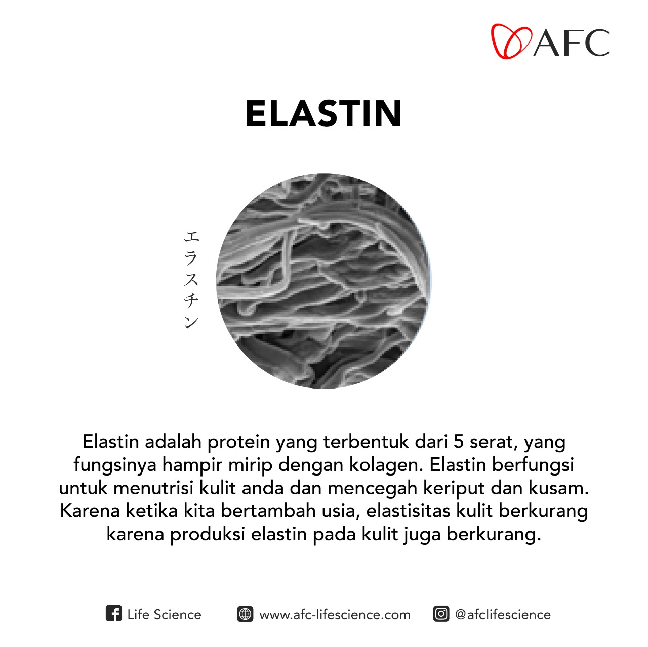 SOP SUBARASHI, UTSUKUSHHII, SOP 100+ dan SENSEI SURU AFC: SOP SUBARASHI